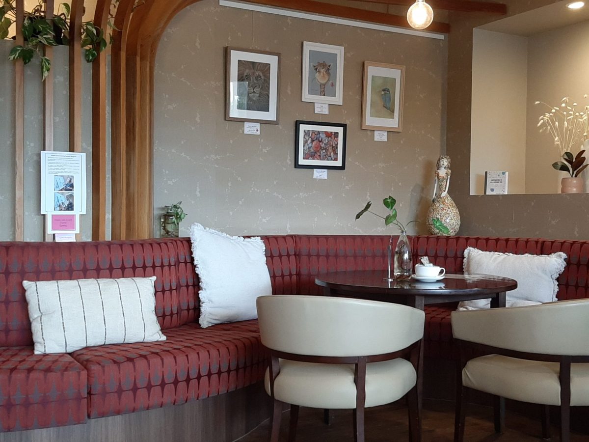 Capturing Nature's Beauty: The Artistry of Cynthia Waygood at Hastings ...